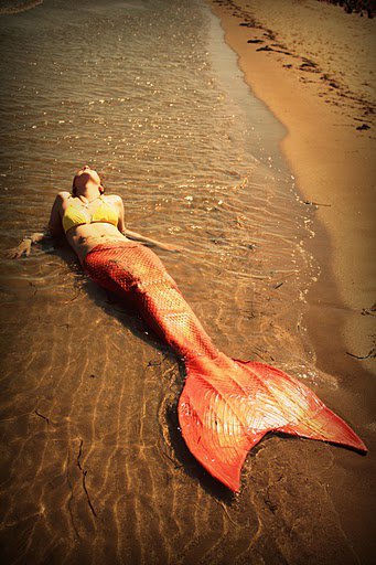 Raina the Halifax Mermaid | I am a mermaid